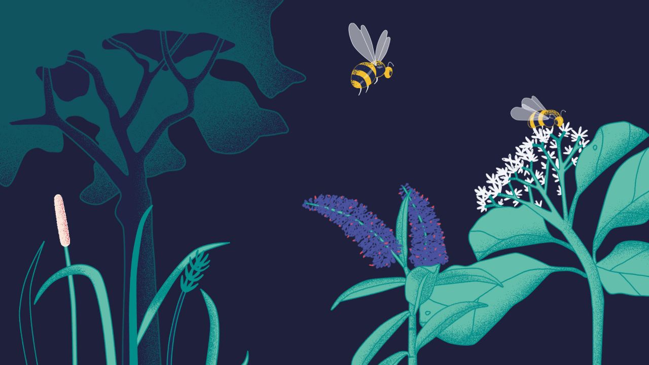 Donate today for your Bee Saver Kit | Friends of the Earth