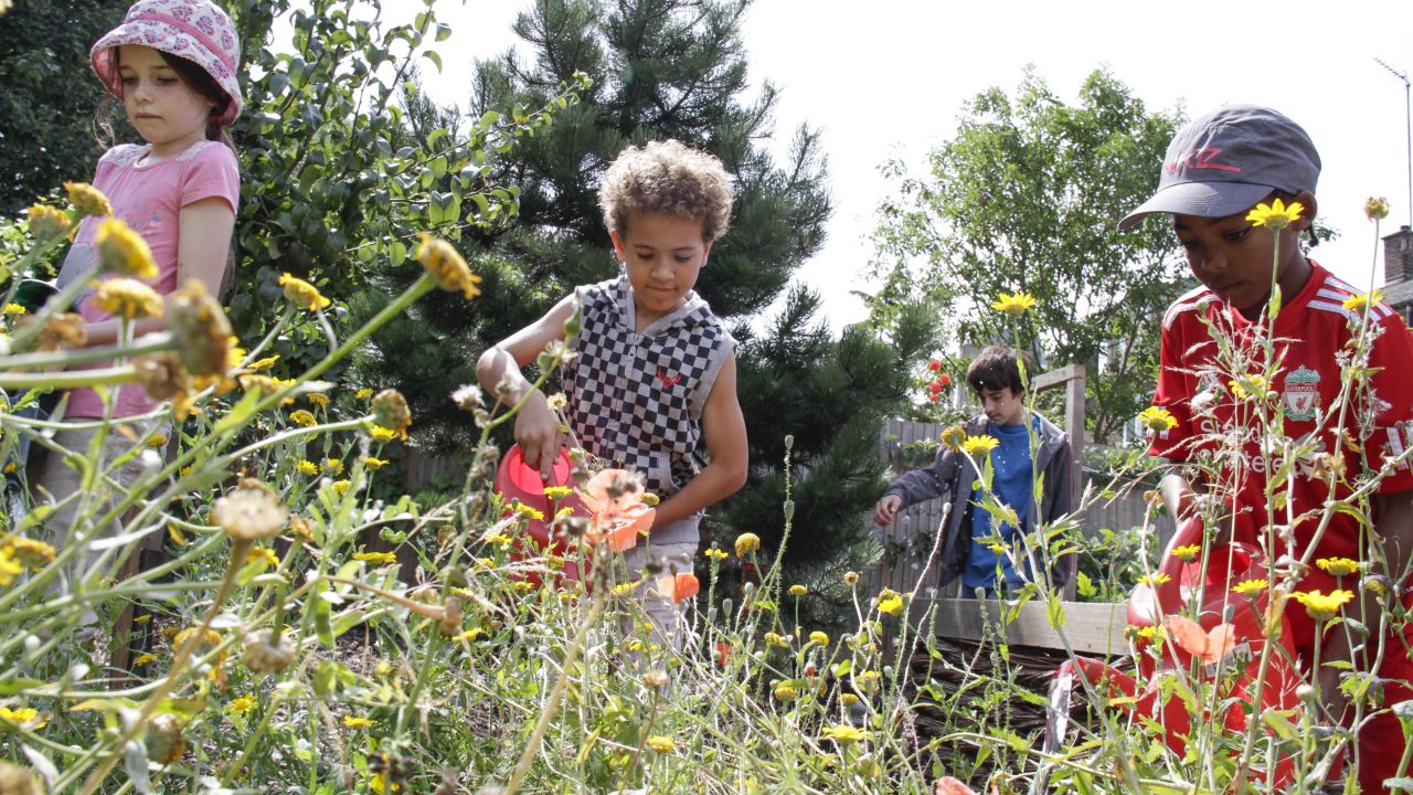 Nature activities for kids | Friends of the Earth