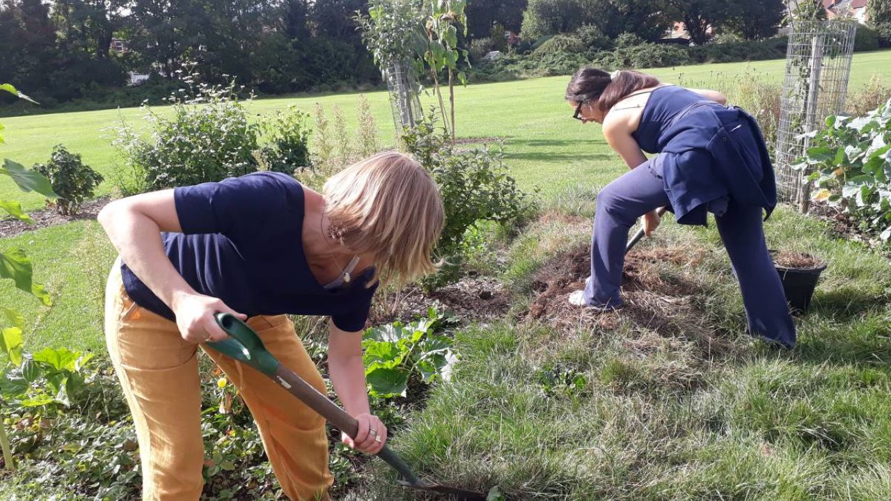 Postcode Gardener in | Friends of the Earth