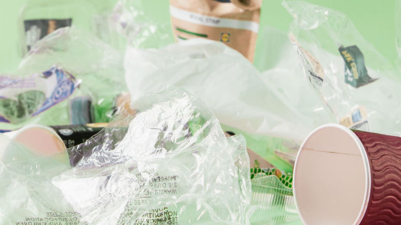 Two friends challenge themselves to avoid everyday plastic | Friends of ...