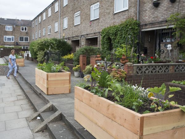 Planting more Postcode Gardeners | Friends of the Earth