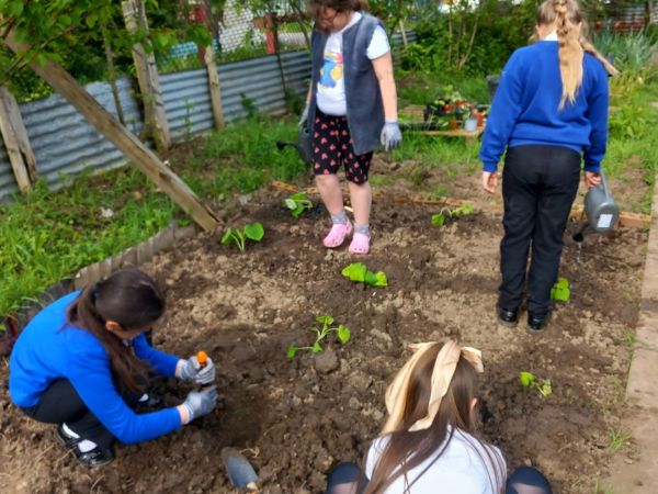 Our Postcode Gardener projects | Friends of the Earth